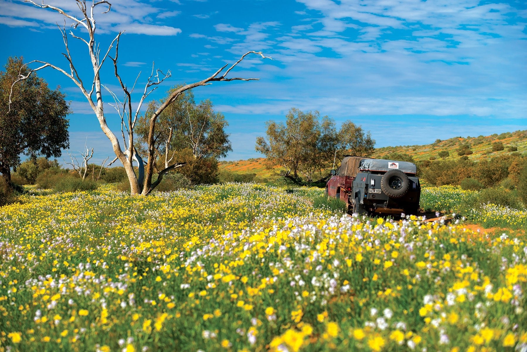Comprehensive camper trailer trip planning guide for a memorable adventure