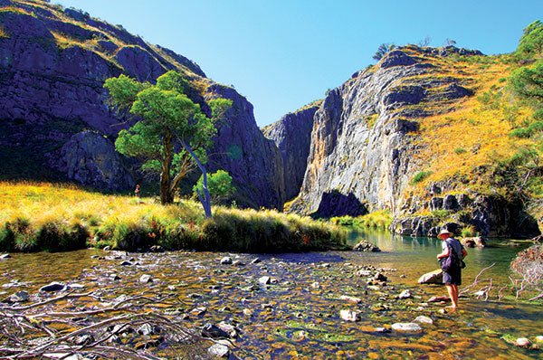 Australian Alps