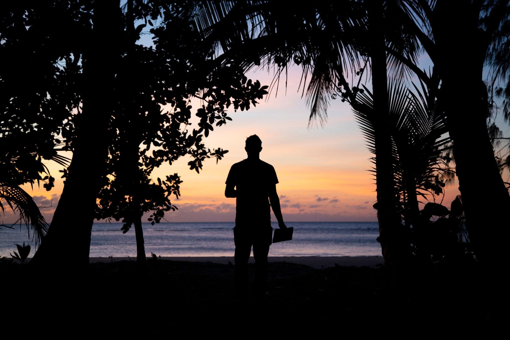 Bloomfield Track, Daintree Rainforest